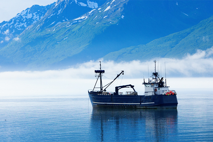 Marine Crew Contract 101 | Promos | Sea Mountain Insurance